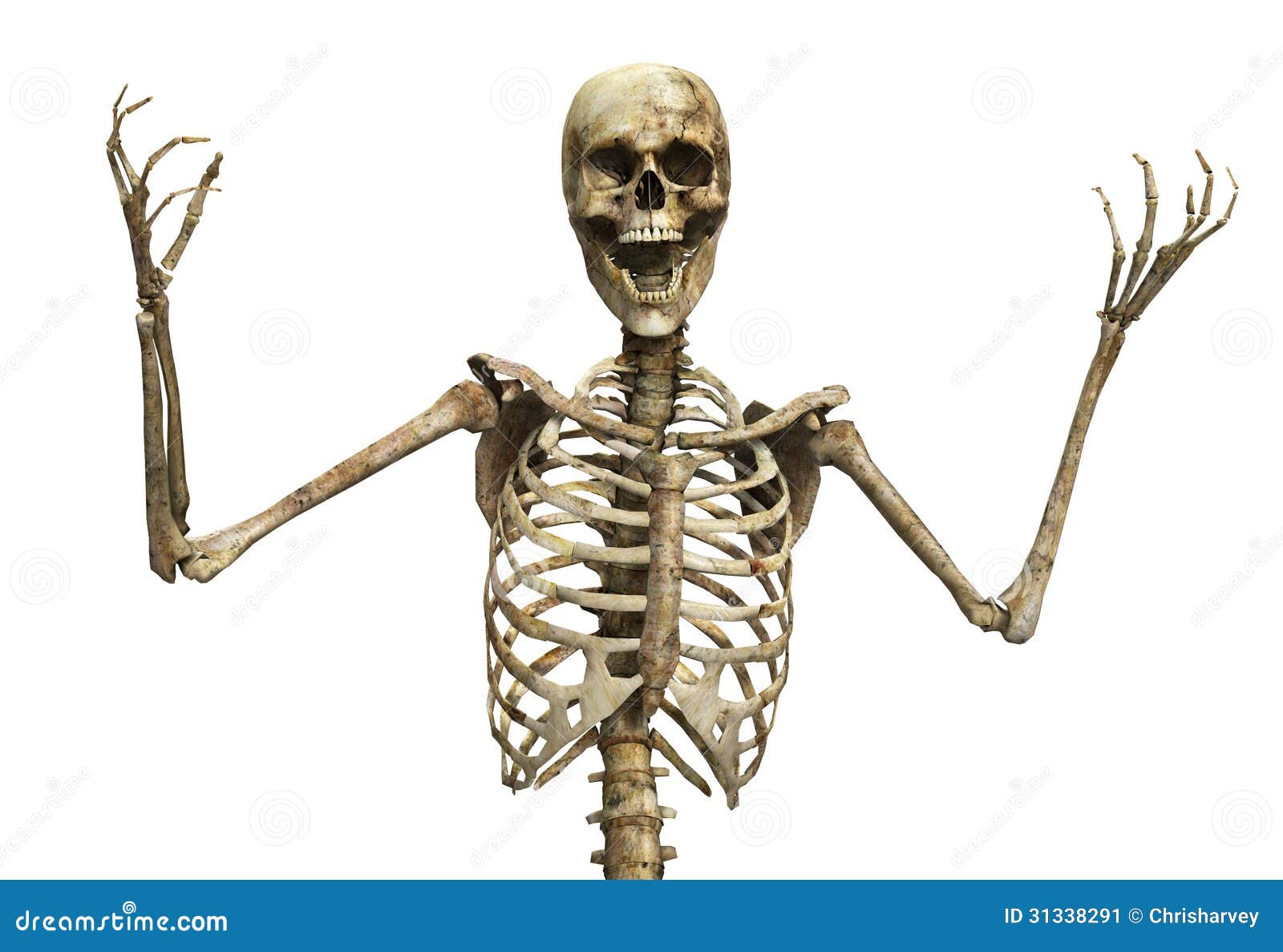 The Skeletal Scream stock illustration. Illustration of mouth - 31338291