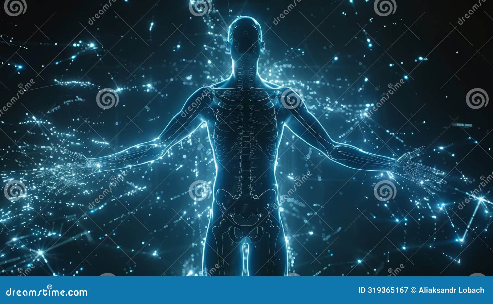The Skeletal Structure of the Human Body. X-ray Image of the Future ...