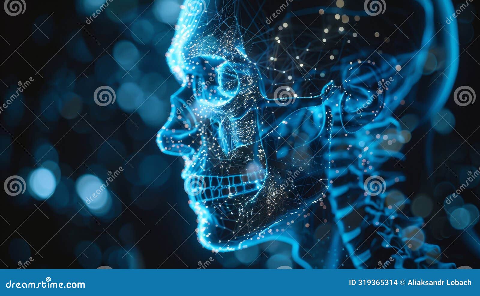 The Skeletal Structure of the Human Body. X-ray Image of the Future ...
