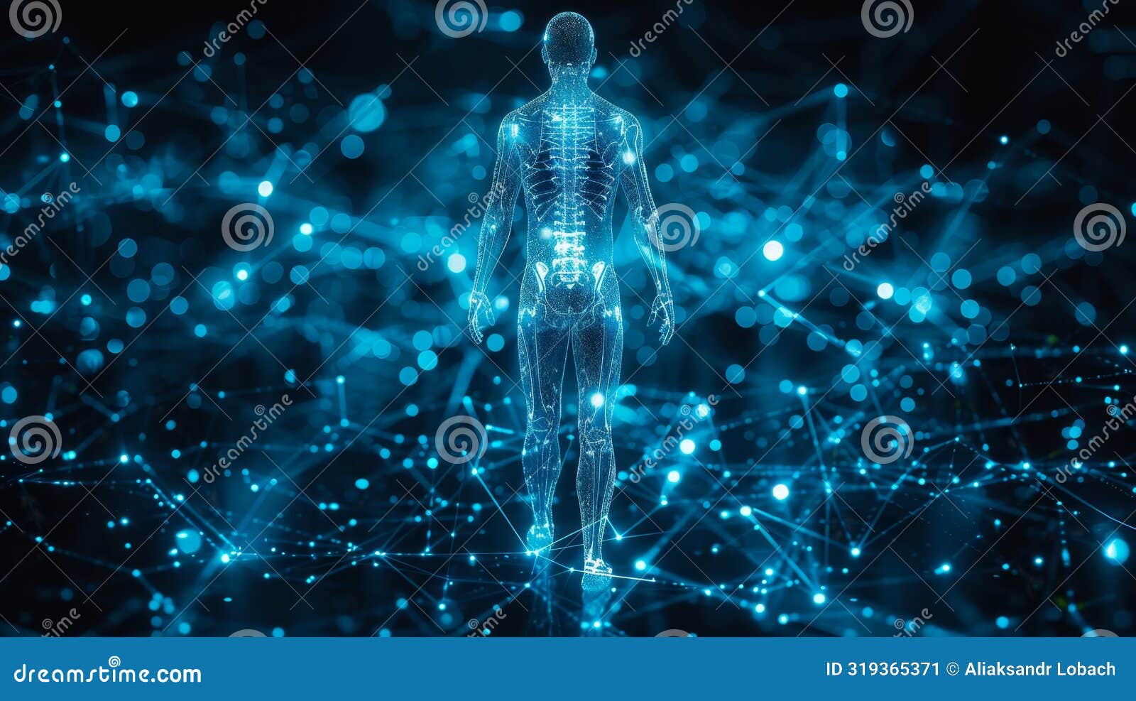 The Skeletal Structure of the Human Body. X-ray Image of the Future ...