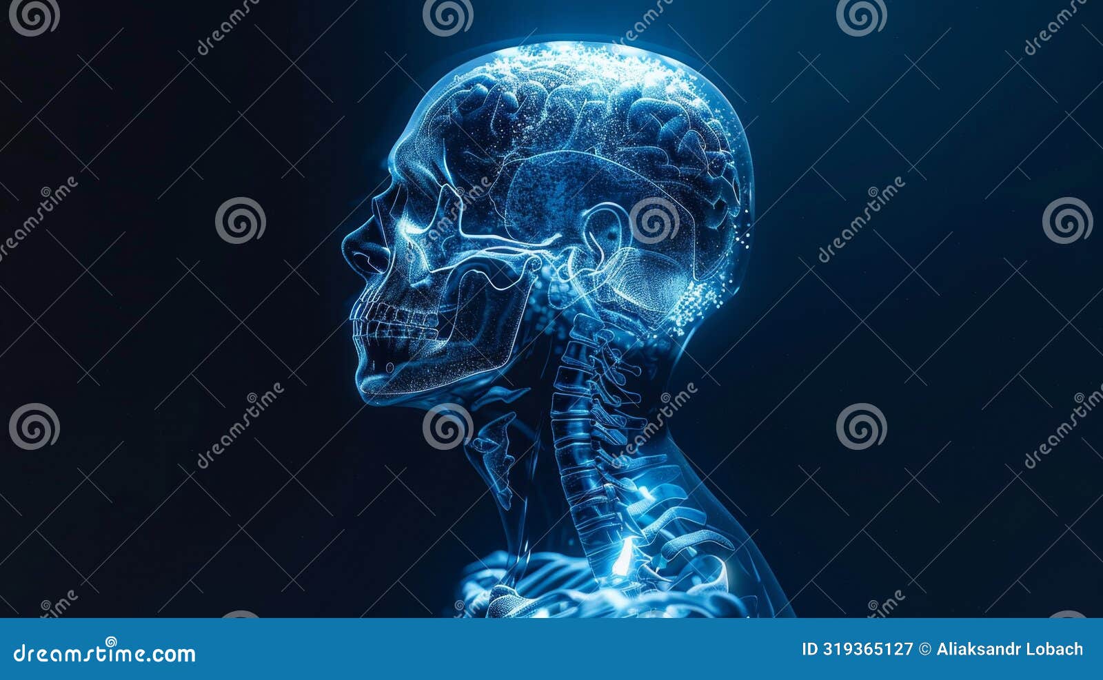 The Skeletal Structure of the Human Body. X-ray Image of the Future ...