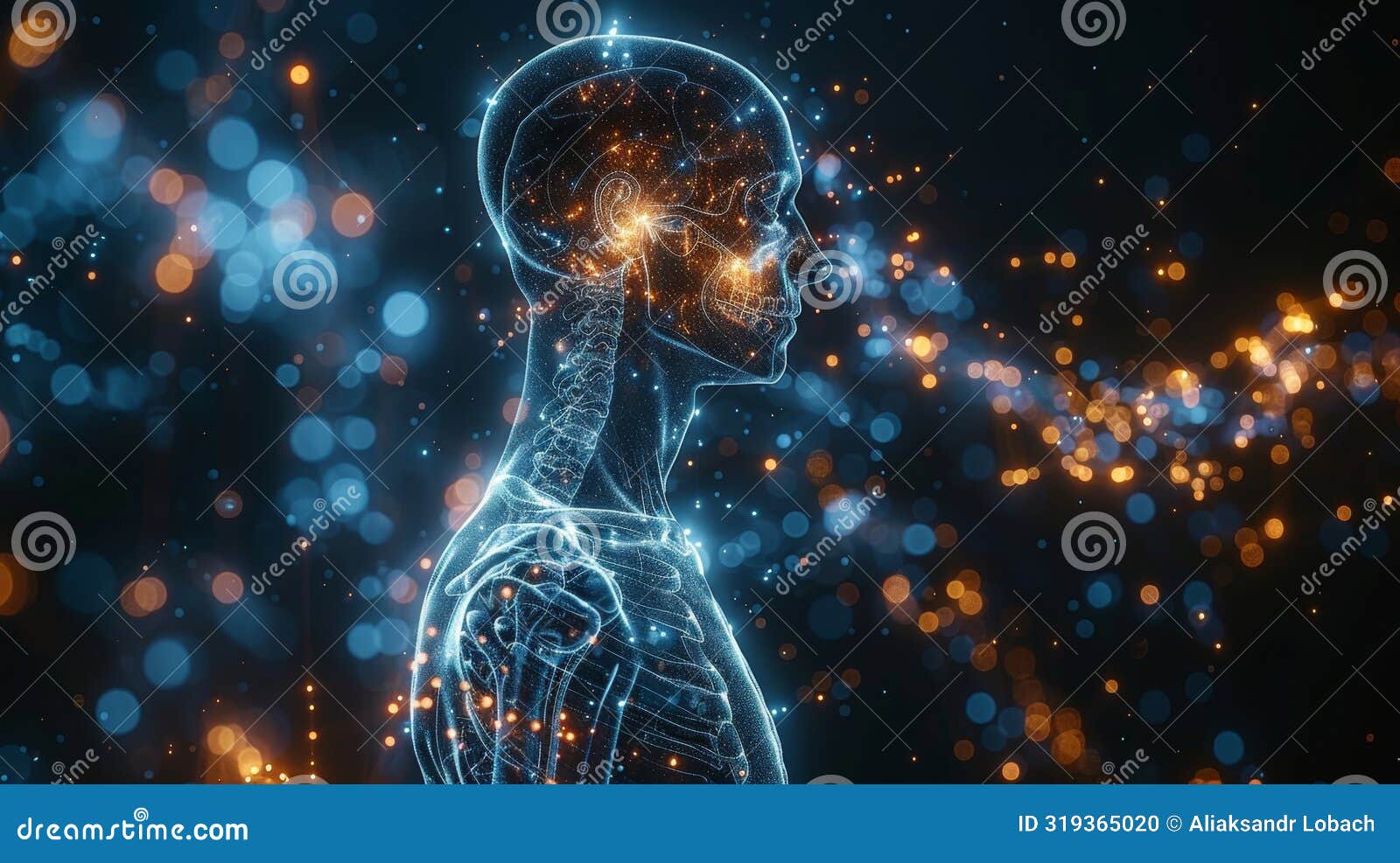 The Skeletal Structure of the Human Body. X-ray Image of the Future ...