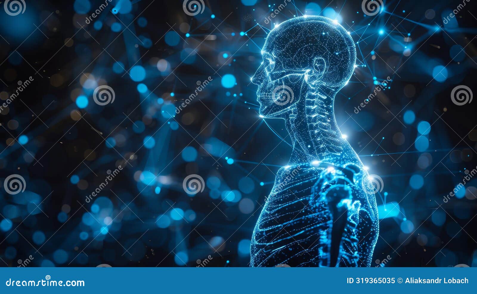 The Skeletal Structure of the Human Body. X-ray Image of the Future ...