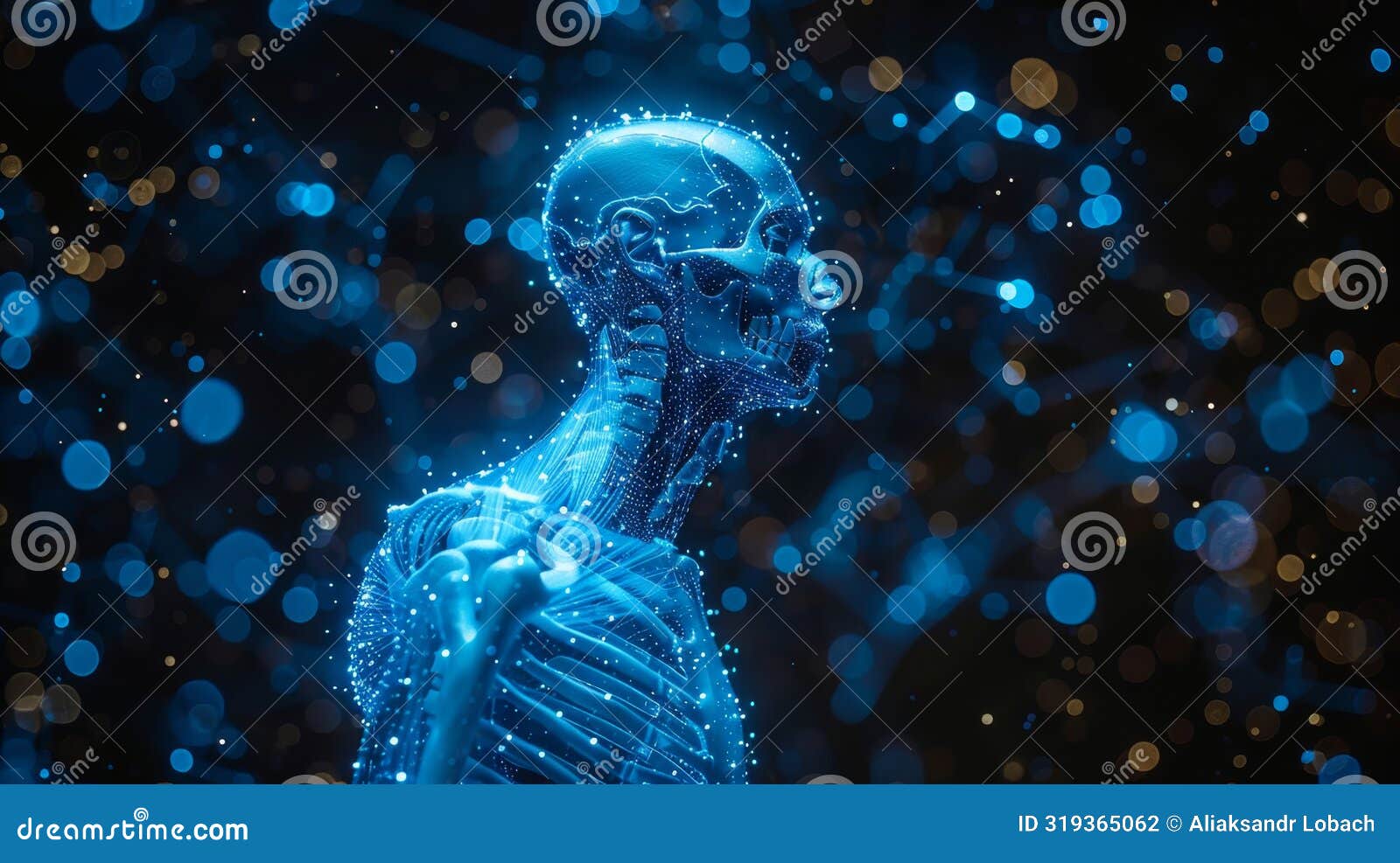 The Skeletal Structure of the Human Body. X-ray Image of the Future ...