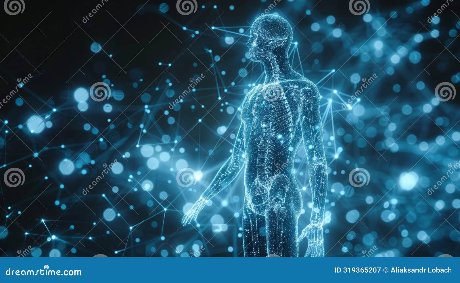 The Skeletal Structure of the Human Body. X-ray Image of the Future ...