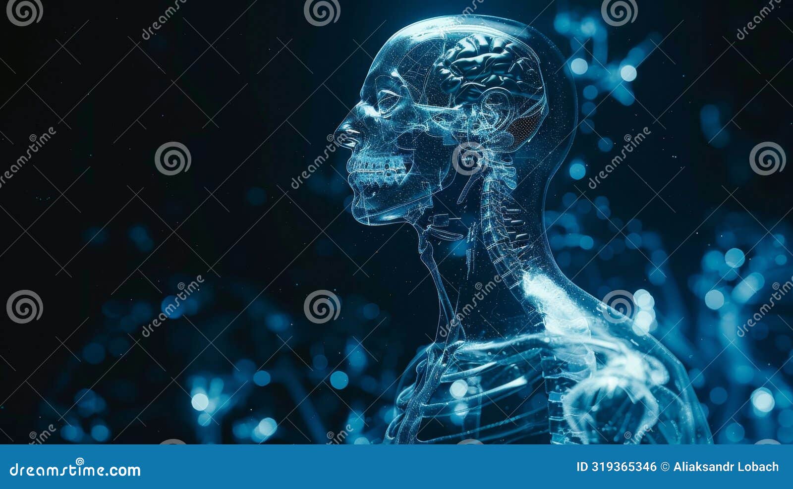 The Skeletal Structure of the Human Body. X-ray Image of the Future ...