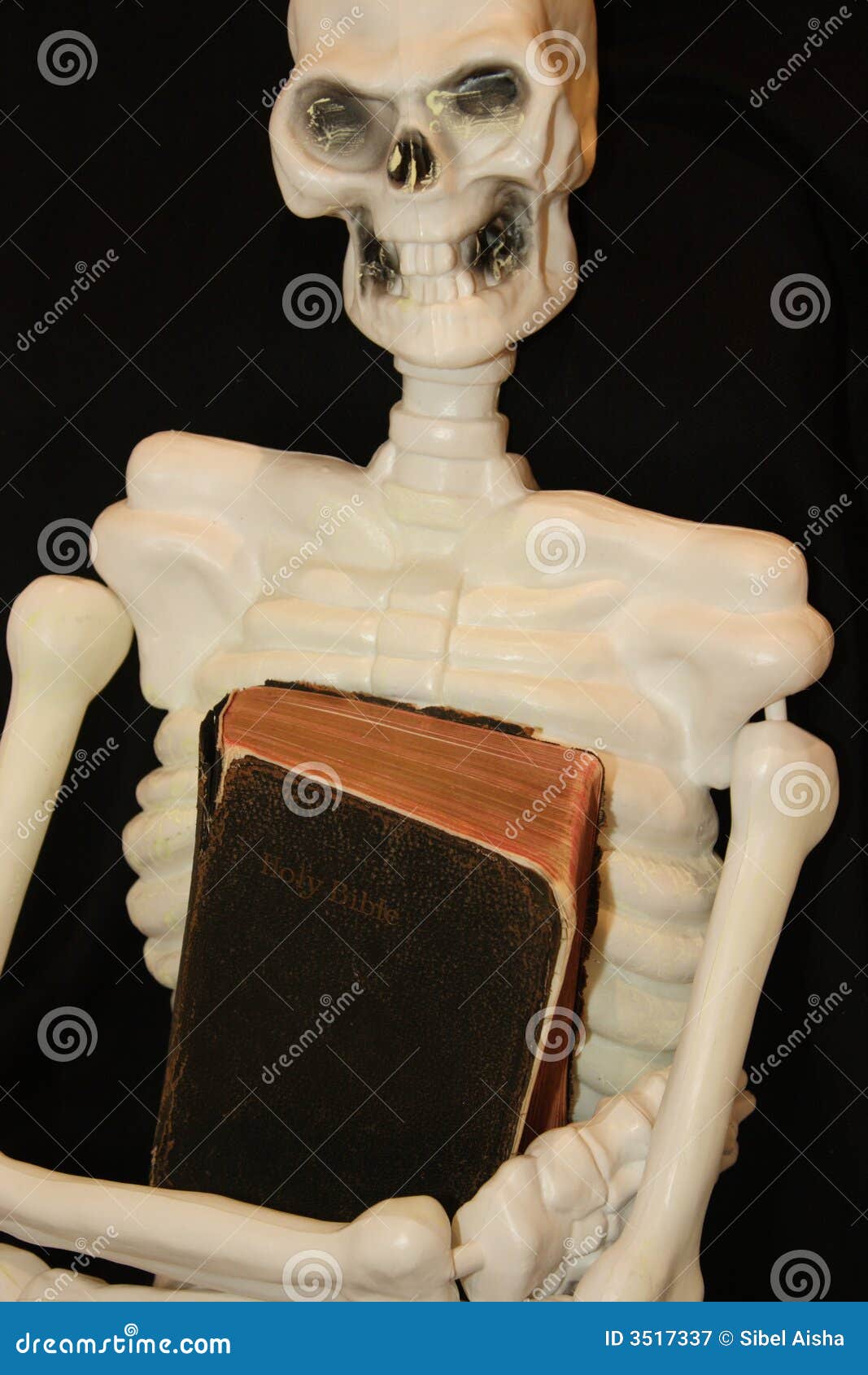 Skeleton stock image. Image of christianity, joseph, hands - 3517337