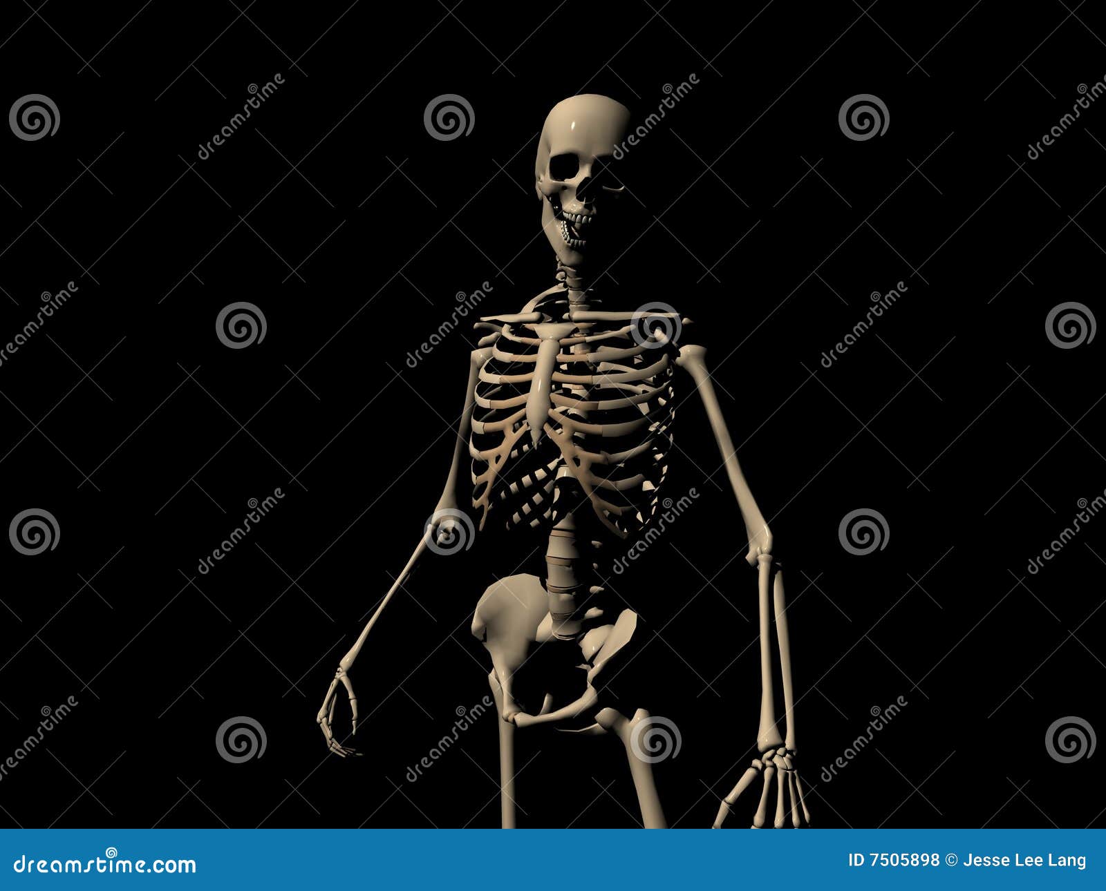 Skeleton stock illustration. Illustration of scary, skull - 7505898