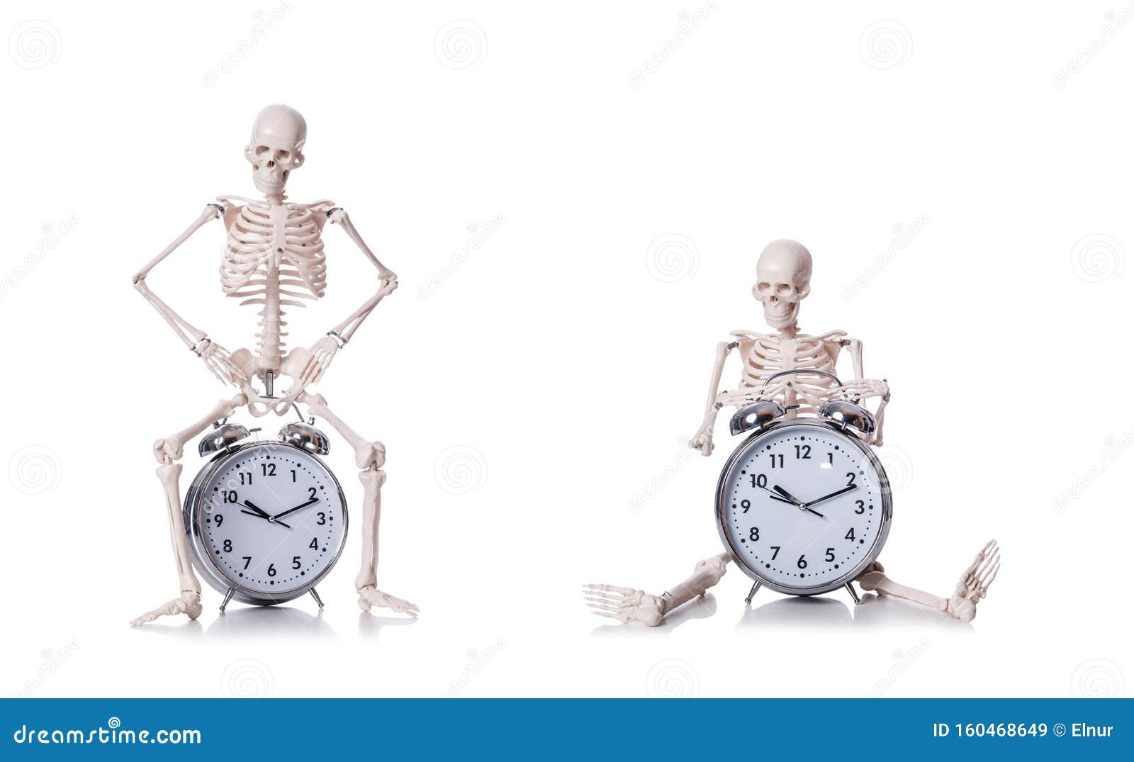 Skeleton with Alarm Clock on the White Stock Image - Image of ...