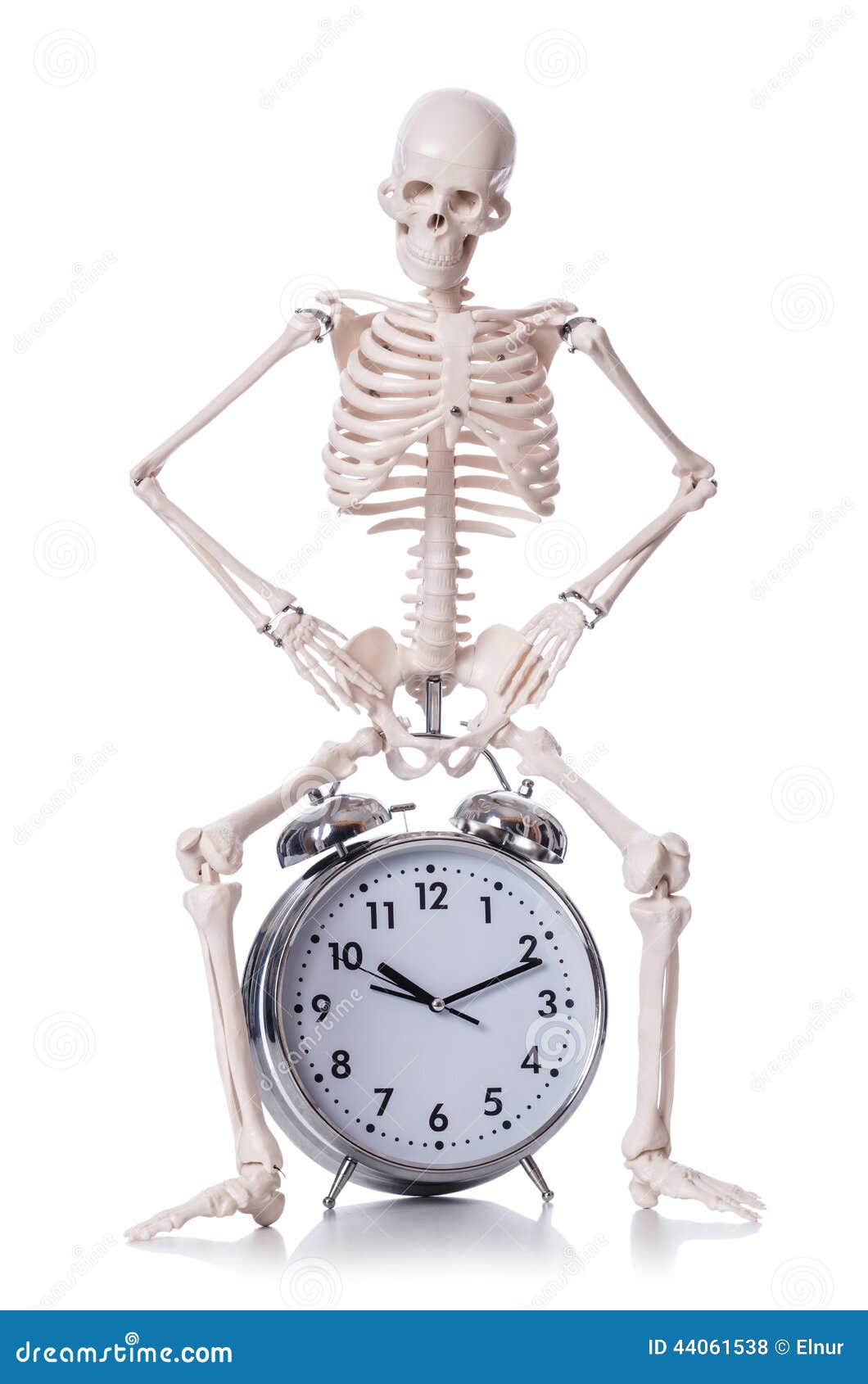Skeleton with alarm clock stock photo. Image of death - 44061538