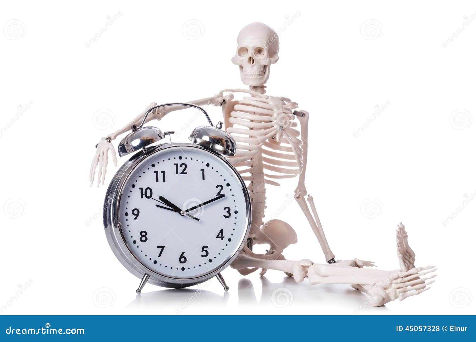 Skeleton with alarm clock stock photo. Image of biological - 45057328