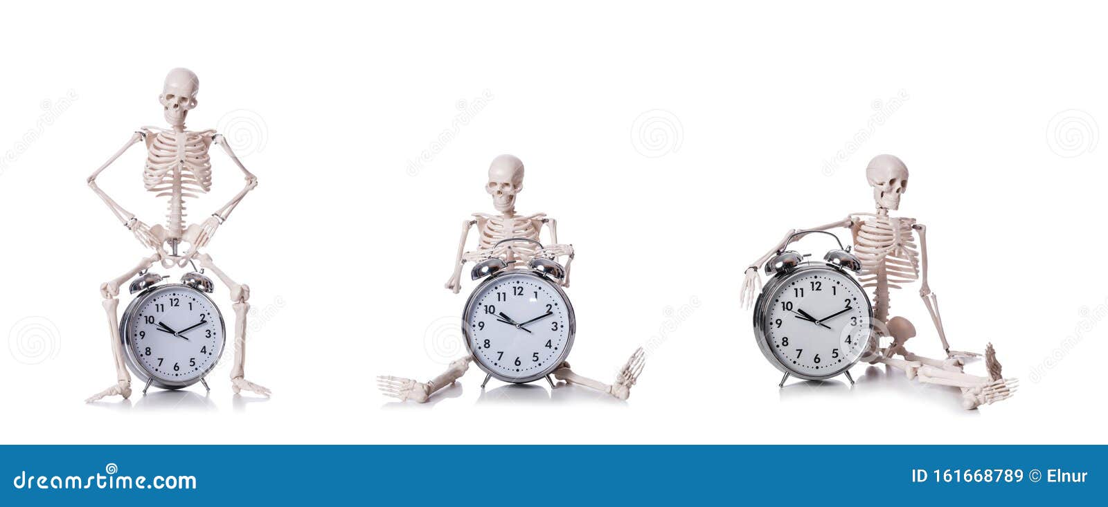 Skeleton with Alarm Clock on the White Stock Image - Image of delayed ...