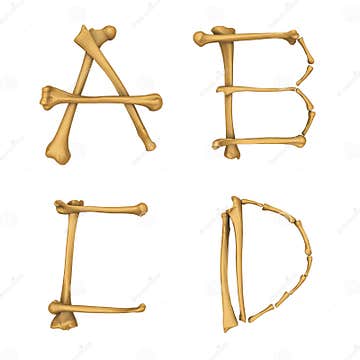 Skeleton alphabet a-D stock illustration. Illustration of graphic ...
