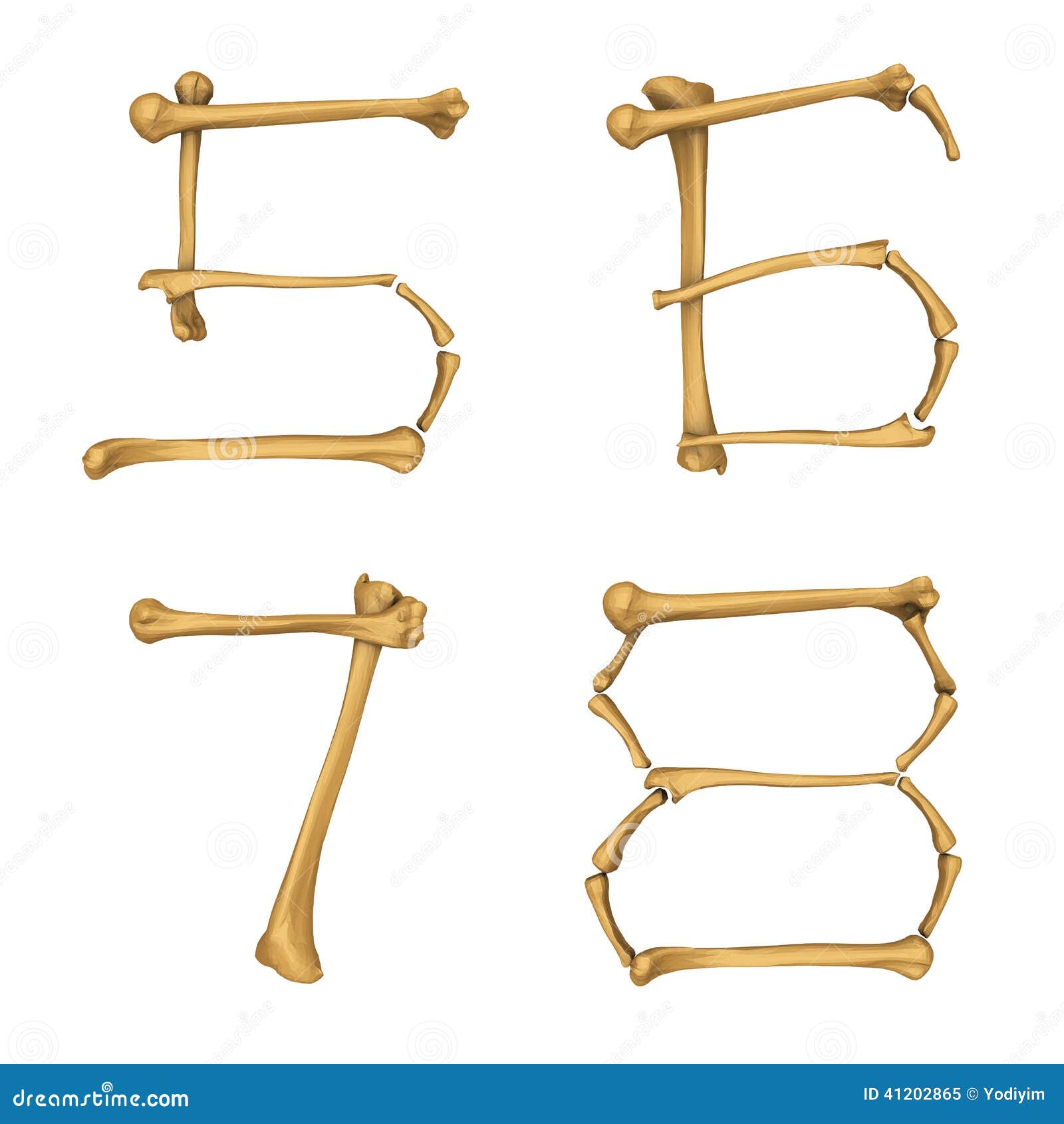 Number 1 Skeleton. Bones Font One. Anatomy Of An Alphabet Symbol ...