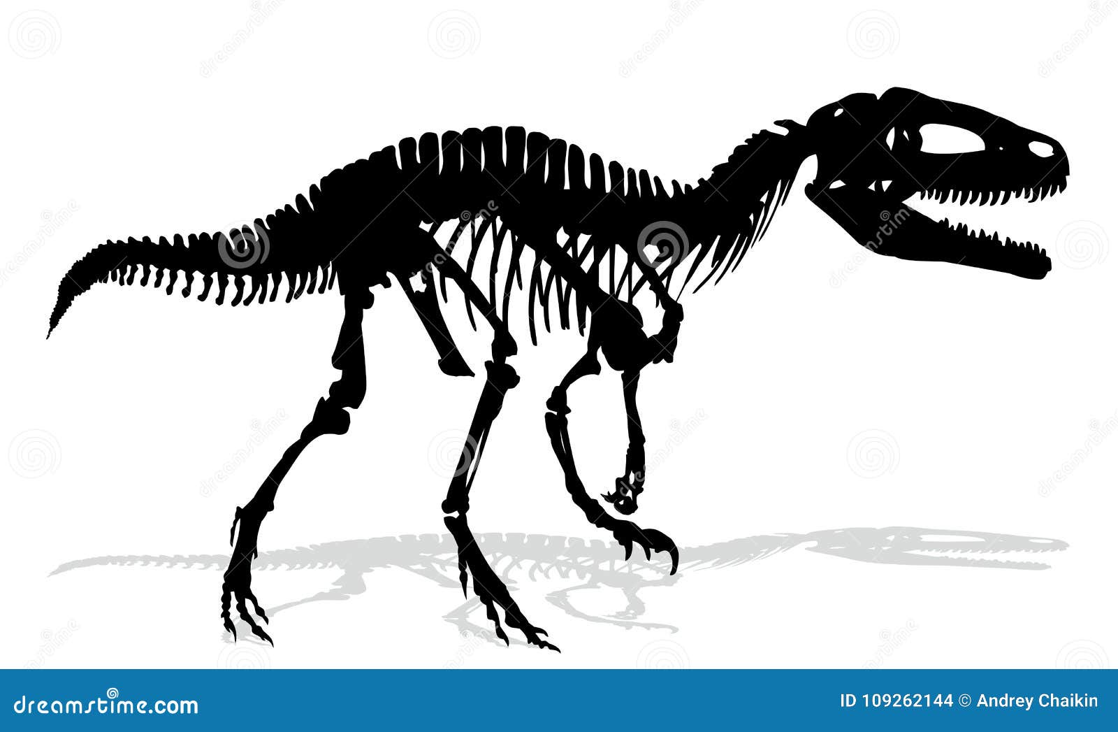 Dinosaur skeleton. stock vector. Illustration of ancient - 109262144