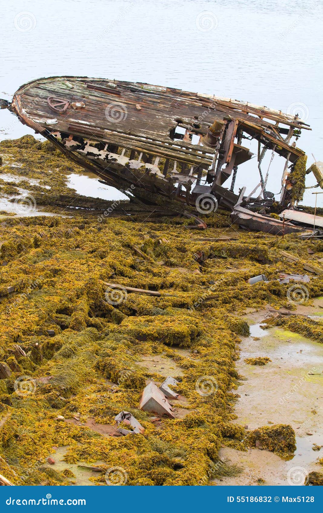 Skeleton of an Ancient Ship after Crash Stock Photo - Image of ...