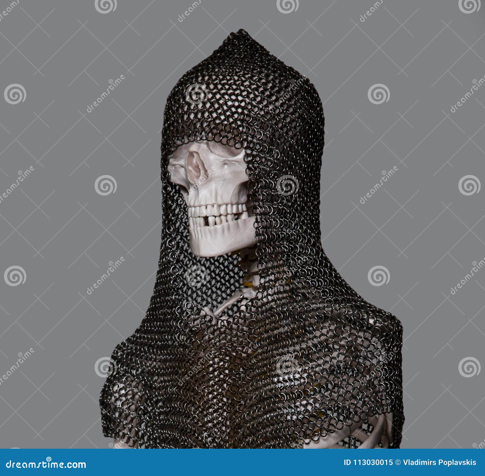 Skeleton in the armour stock image. Image of body, military - 113030015