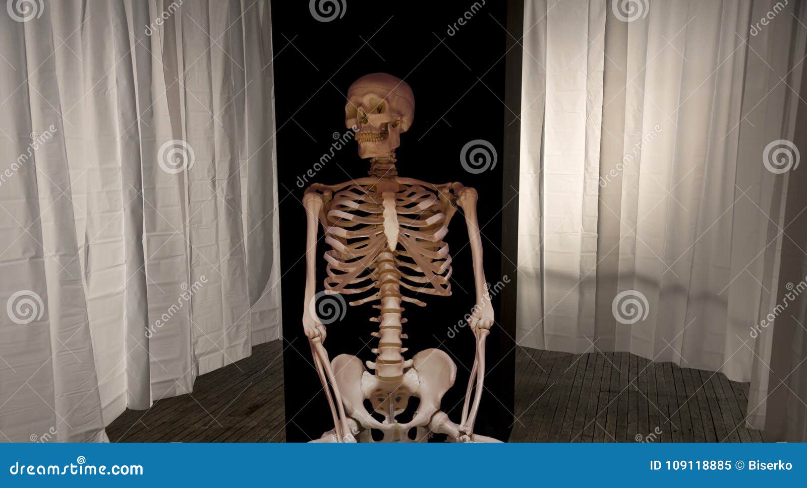 Skeleton on the stage l stock image. Image of death - 109118885