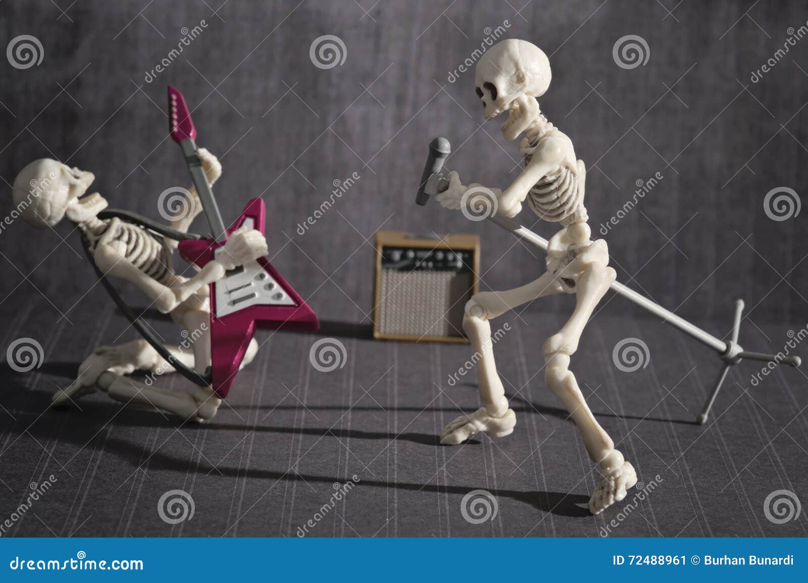 Skeleton Band stockbild. Bild von konzert, konzept, schädel - 72488961