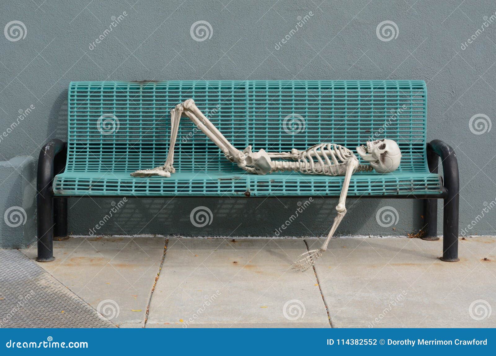 Skeleton on bench stock photo. Image of scary, resting - 114382552
