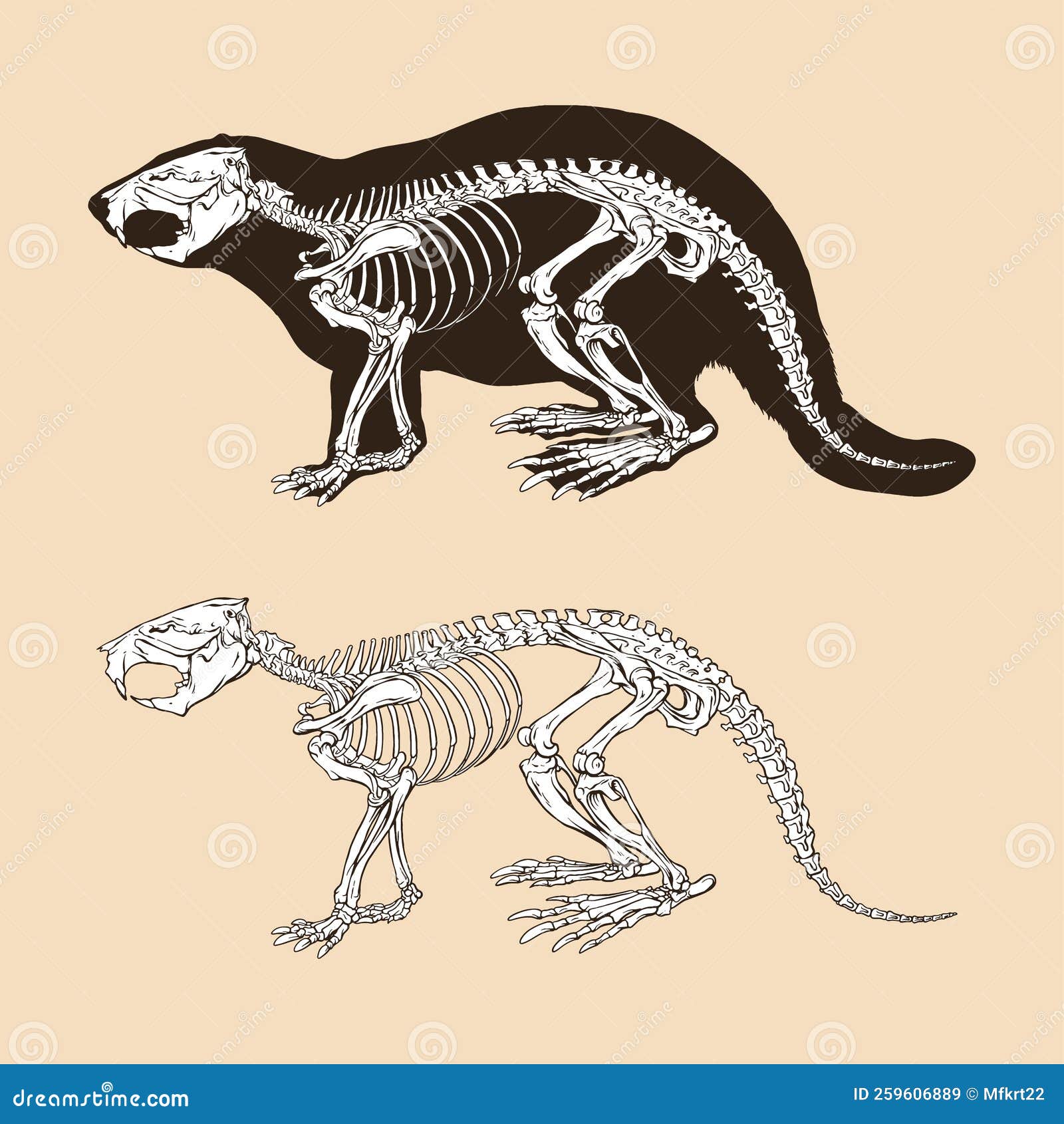 Bever Cartoons, Illustrations & Vector Stock Images - 76 Pictures to ...