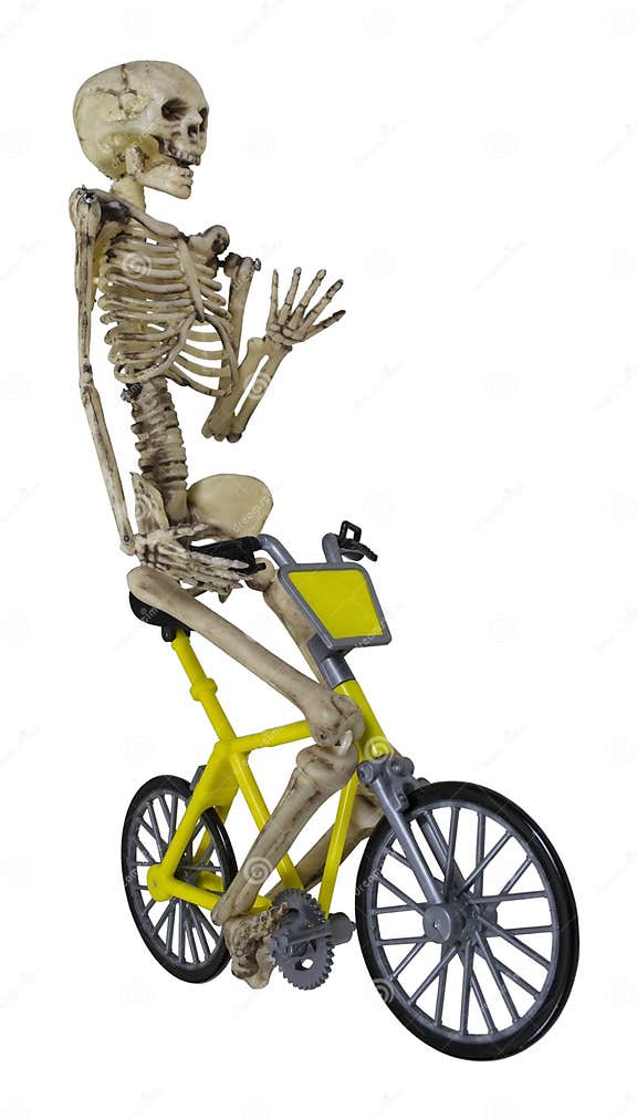 Skeleton on a Bicycle stock photo. Image of skeleton - 21698336