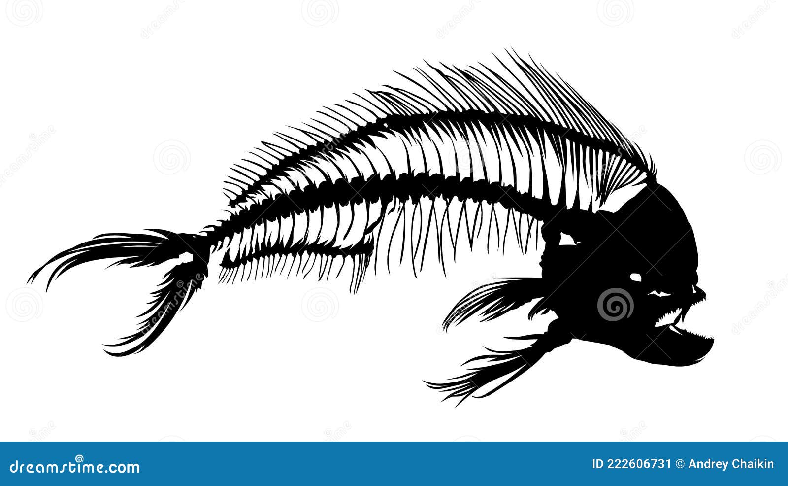 A Skeleton of big fish. stock vector. Illustration of silhouette ...