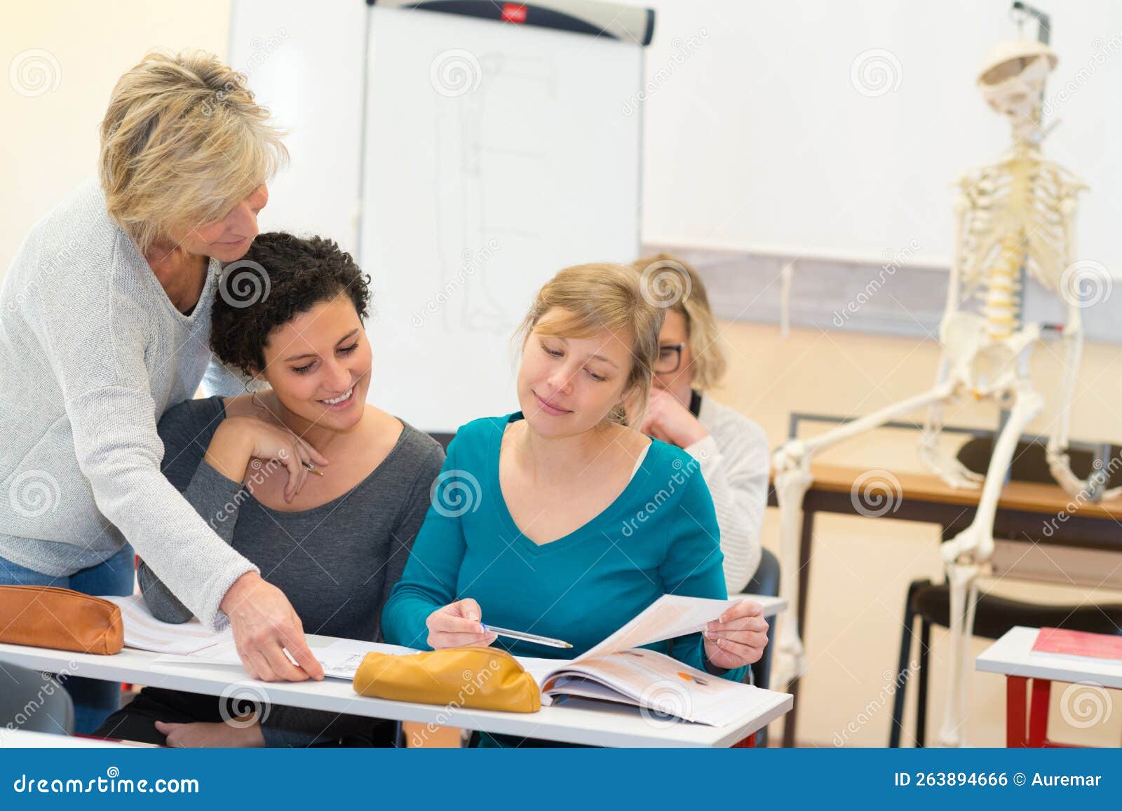 Skeleton in biology class stock photo. Image of school - 263894666