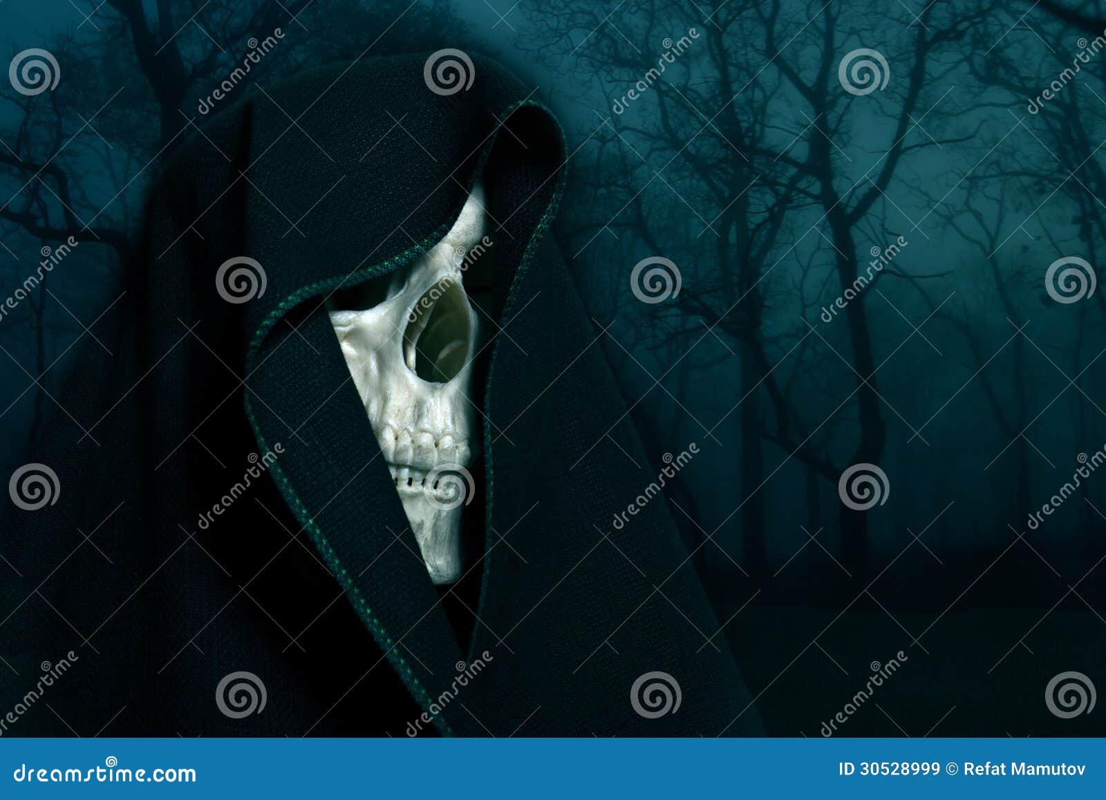 301 Skeleton Black Hood Stock Photos - Free & Royalty-Free Stock Photos ...