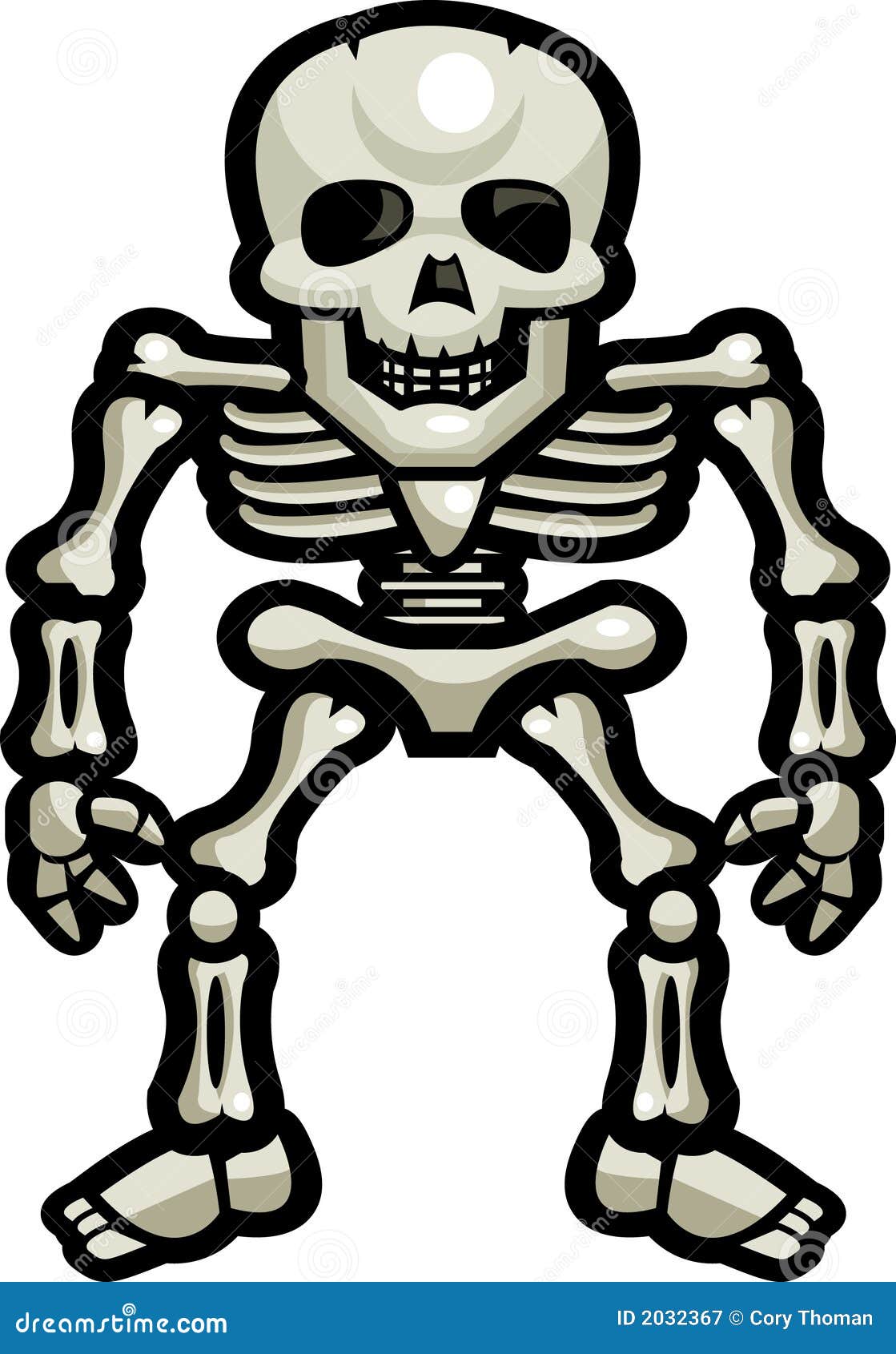 Skeleton Bones stock vector. Illustration of skeleton - 2032367