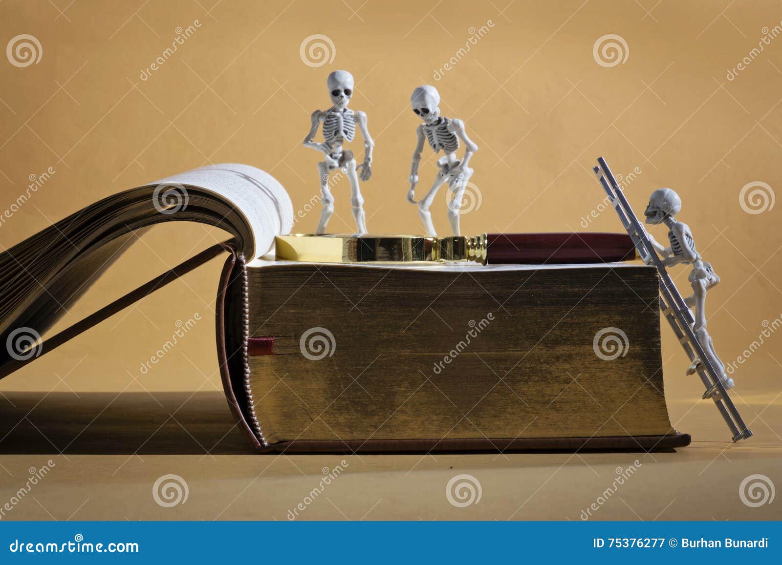 Skeleton book stock image. Image of library, scary, horror - 75376277