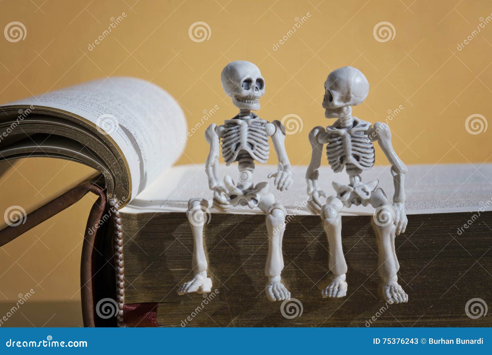 Skeleton book stock image. Image of human, dead, design - 75376243