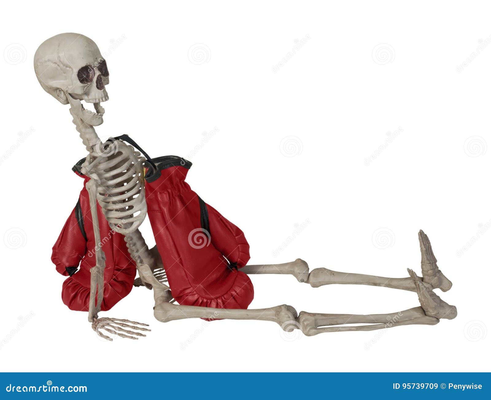 Skeleton with Boxing Gloves Stock Image - Image of internal, sport ...