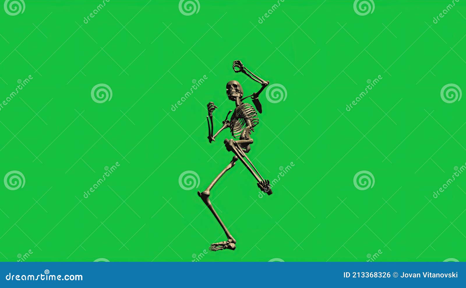 3D Illustration - Skeleton Boxing - Separate on Green Screen Stock ...