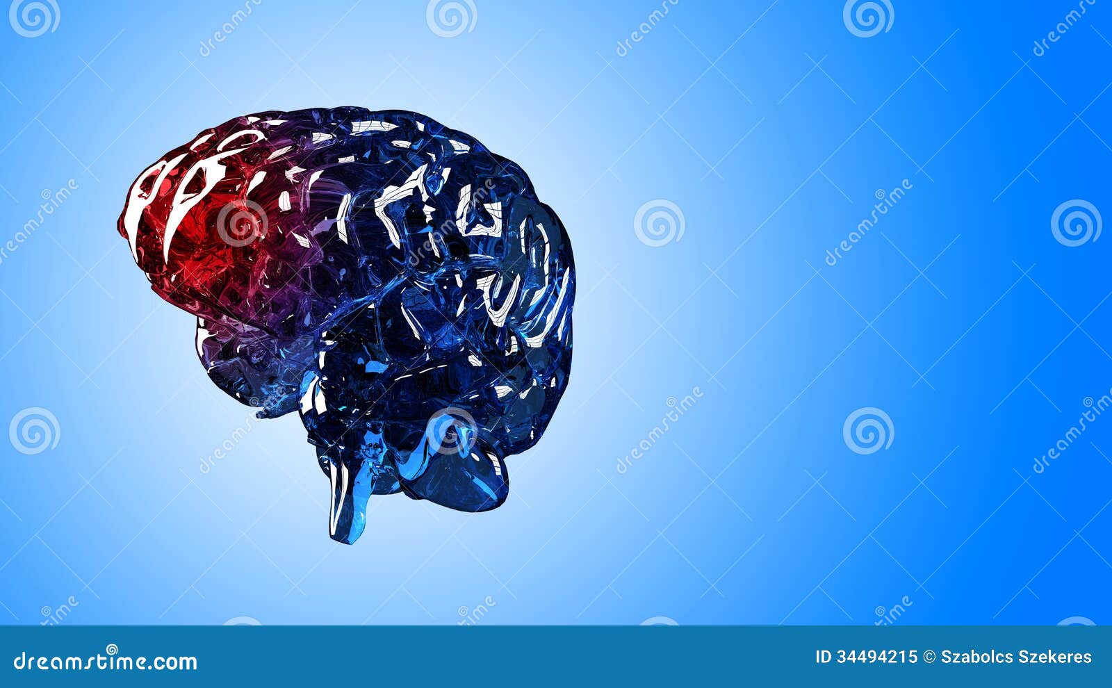 Skeleton brain pain stock illustration. Illustration of injury - 34494215