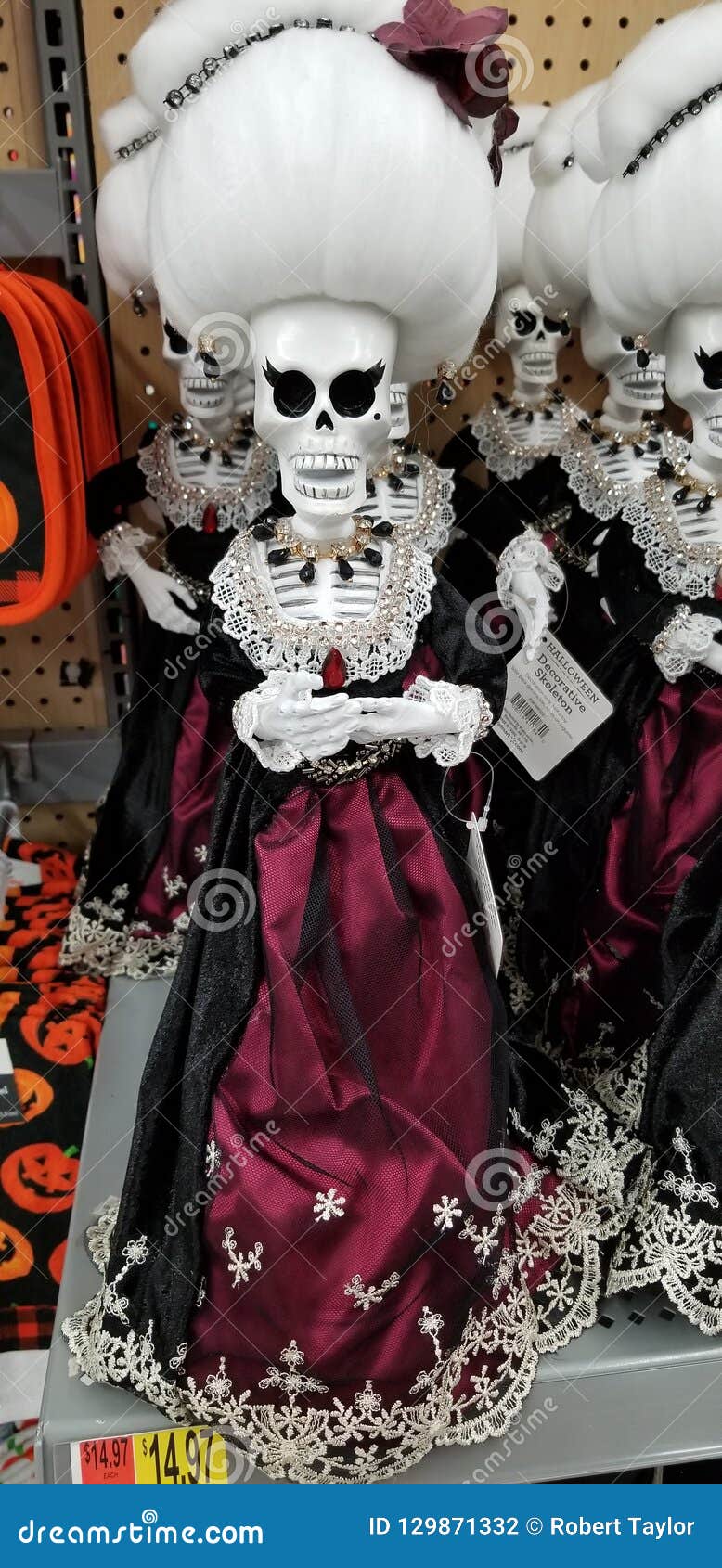 Skeleton bride editorial photography. Image of skeleton - 129871332