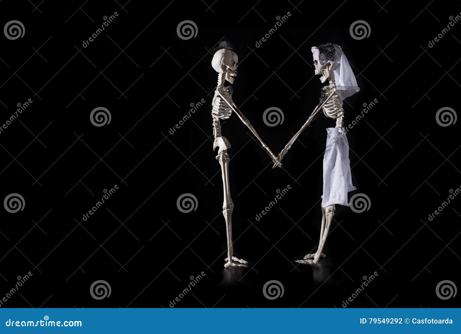 Skeleton bride and groom stock photo. Image of black - 79549292