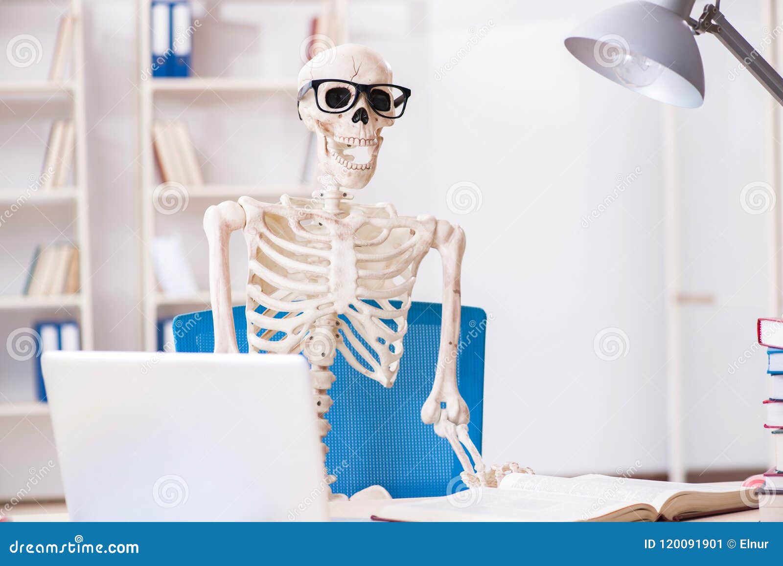 The Skeleton Businessman Working in the Office Stock Image - Image of ...