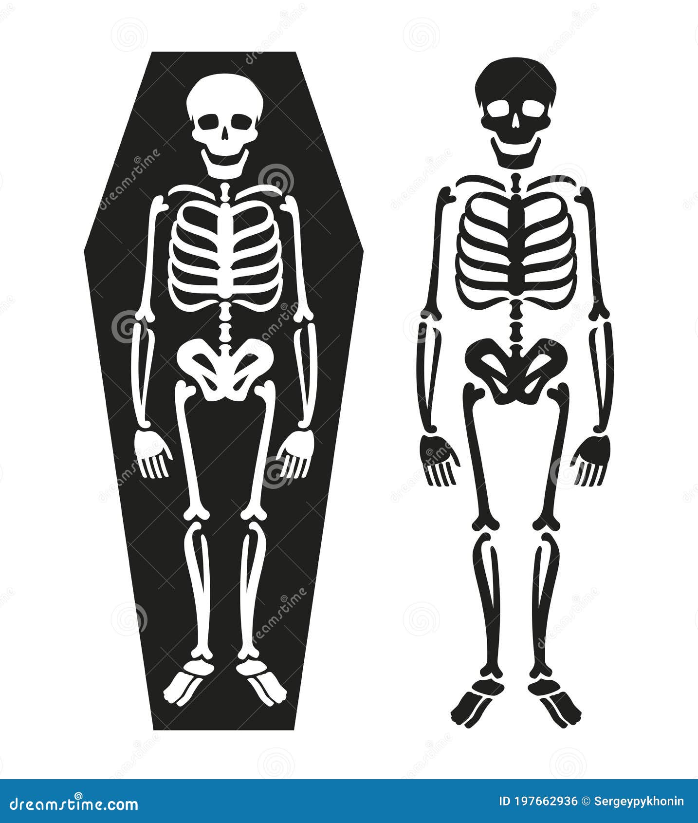 Skeleton in Coffin. Death Symbol Vector Illustration Stock Vector ...