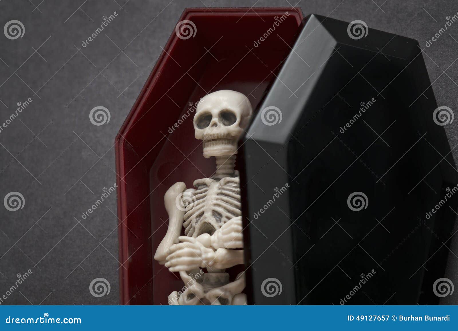 Skeleton in the coffin stock image. Image of graveyard - 49127657