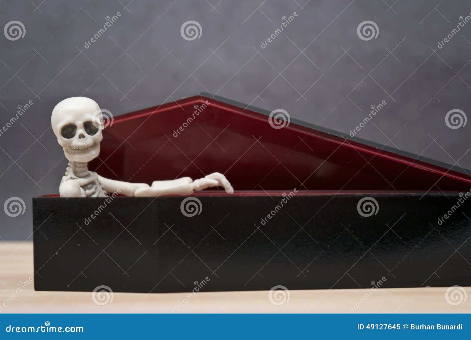 Skeleton in the coffin stock image. Image of dead, scary - 49127645