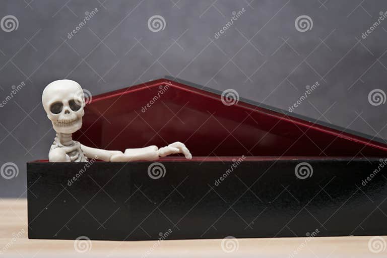 Skeleton in the coffin stock image. Image of dead, scary - 49127645