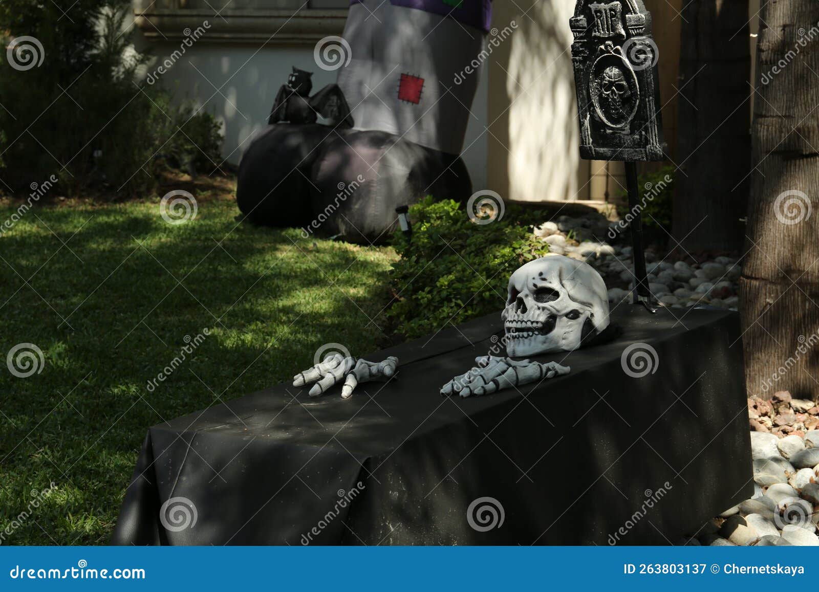 Skeleton Crawling Out of Black Coffin Outdoors. Halloween Decor Stock ...