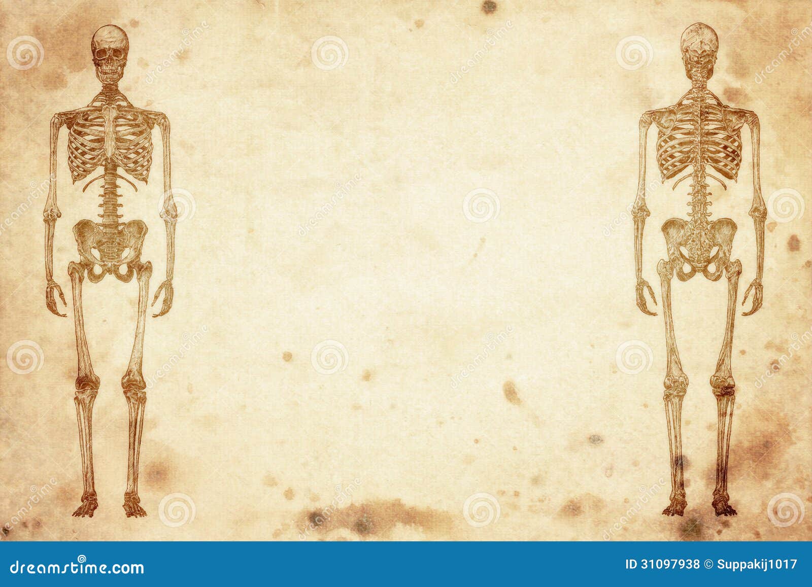 Skeleton Get Shock. Electric Shock. Human With A Skeleton Vector ...