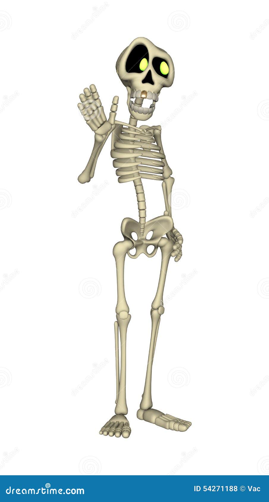 Skeleton stock illustration. Illustration of skeleton - 54271188