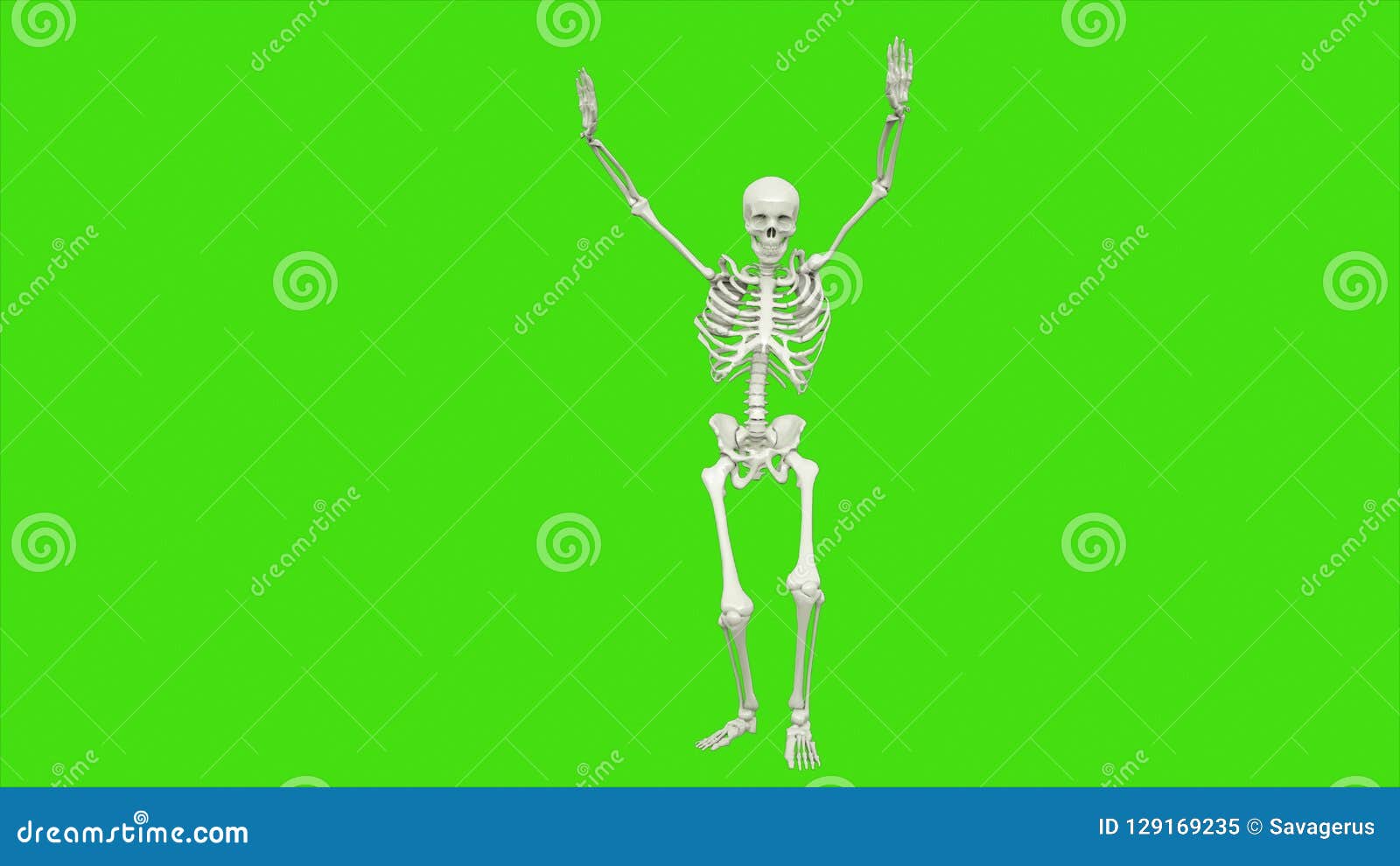 Skeleton Dancing on Green Screen. 3D Rendering Stock Illustration ...