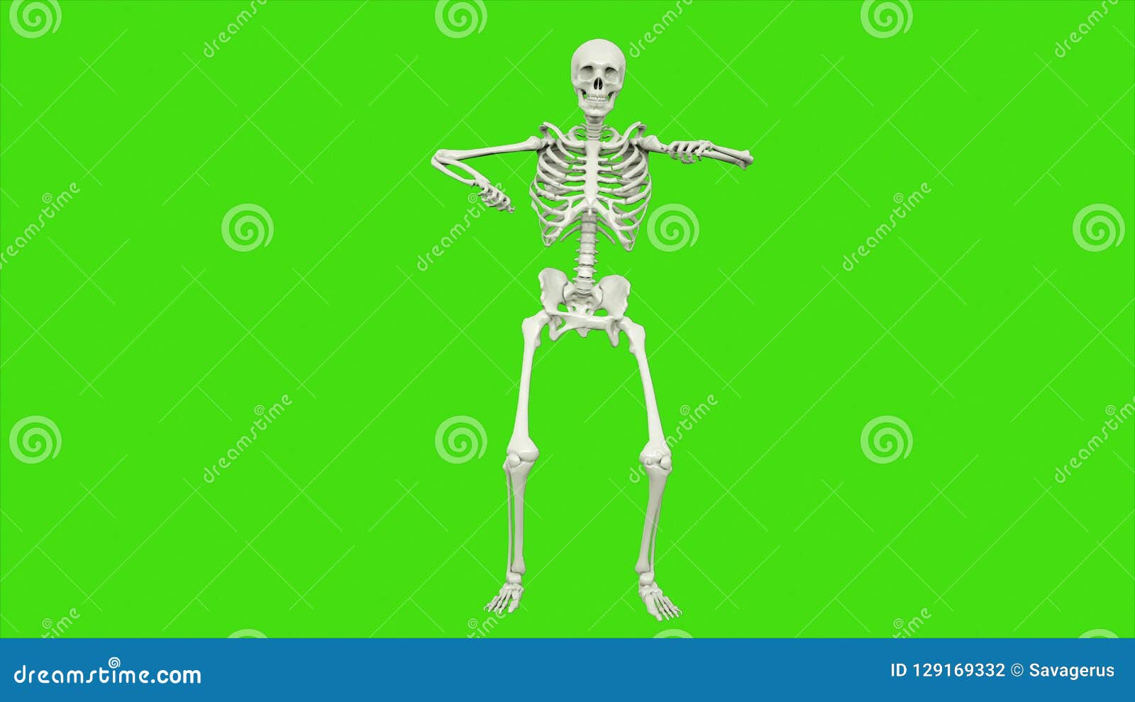 Green Skeleton Dance at Justin Dale blog