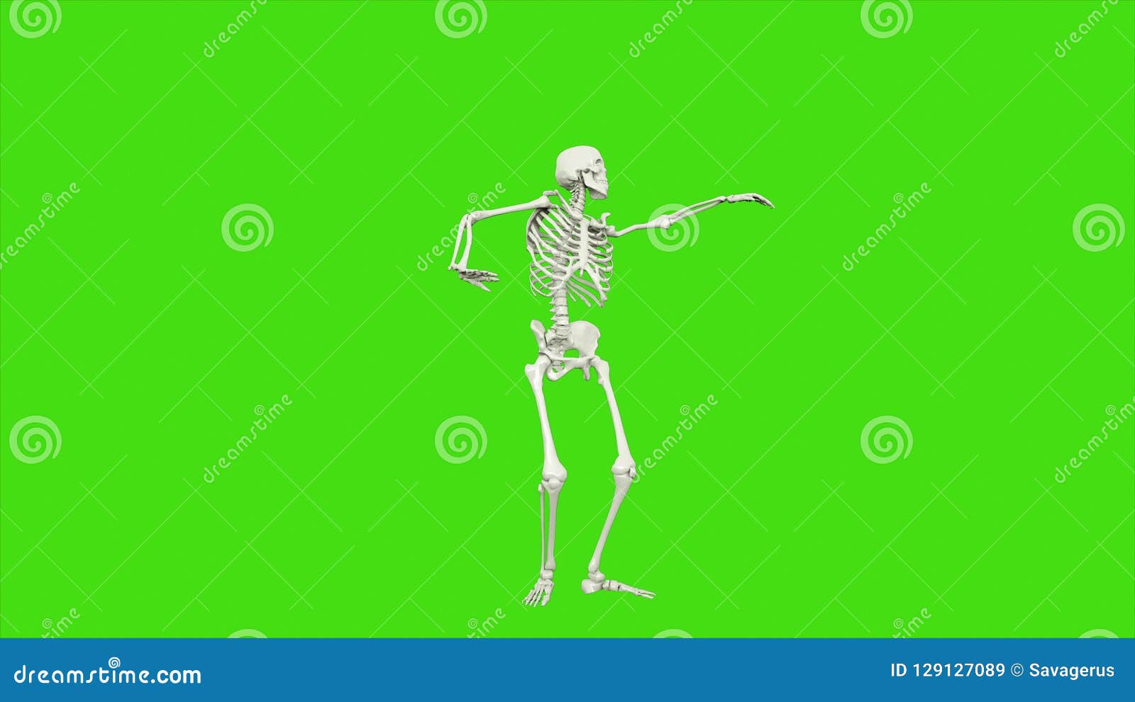 Skeleton Dancing. Seamless Loop Animation on Green Screen. Stock Video ...