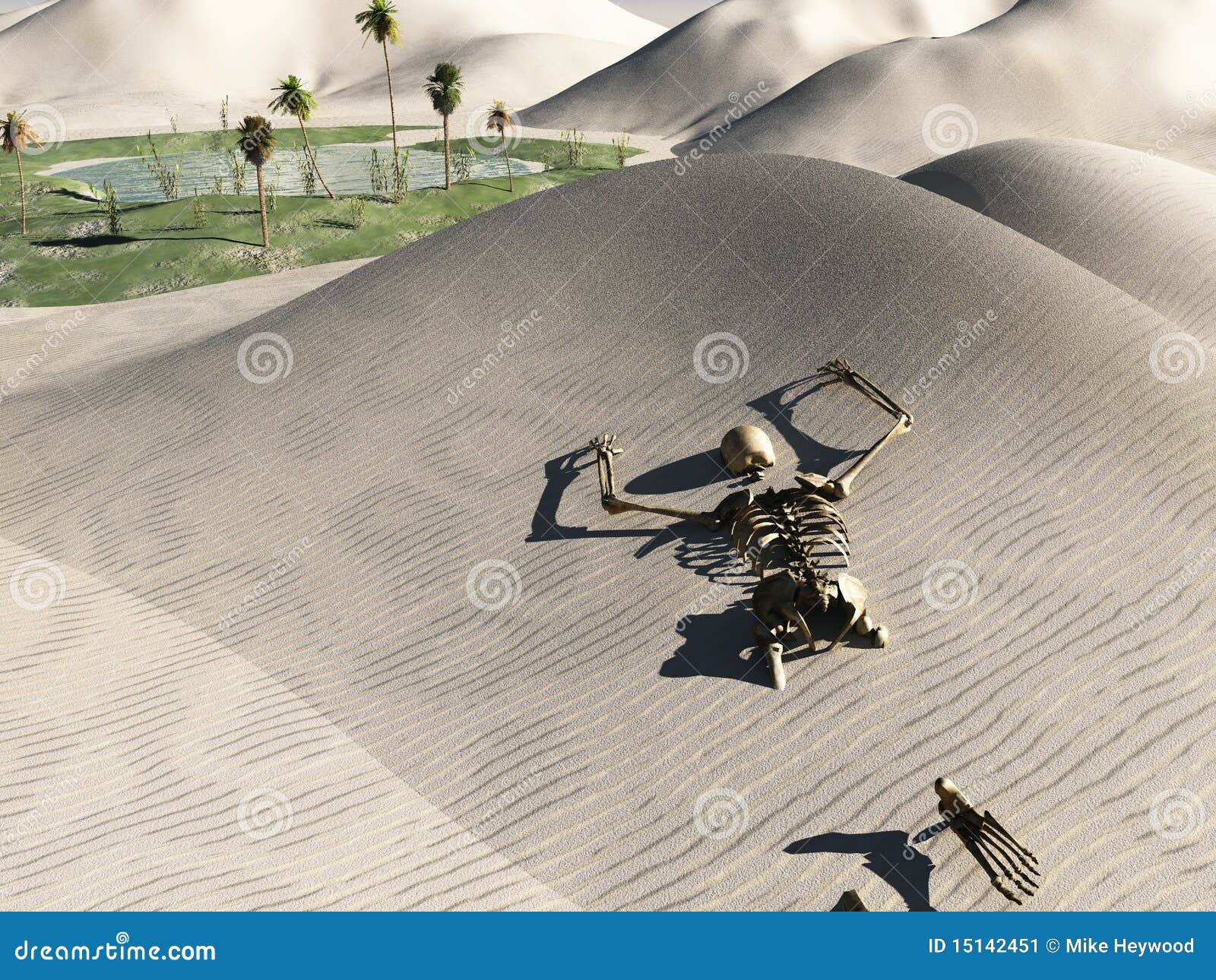Skeleton In Desert Royalty-Free Stock Photography | CartoonDealer.com ...