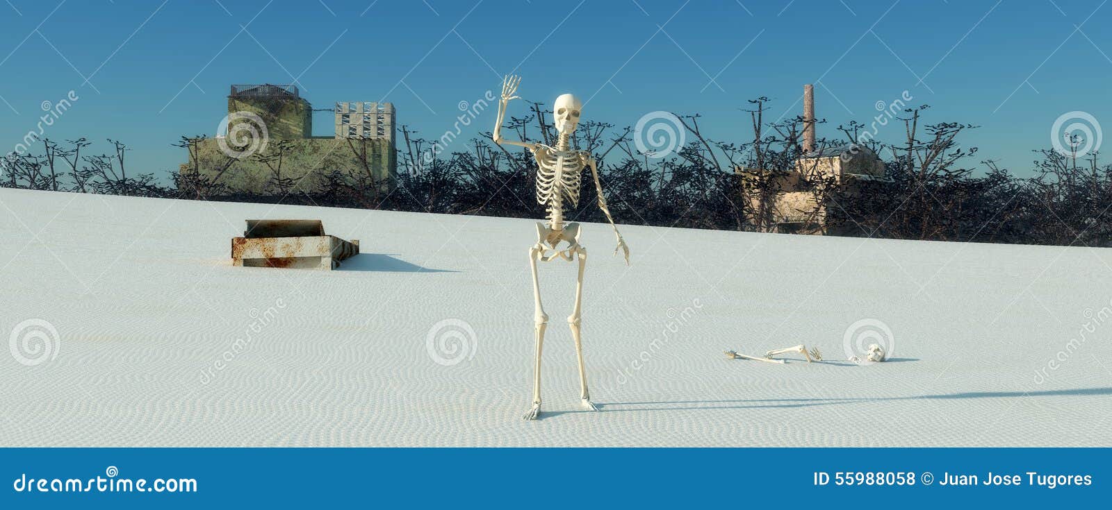 Skeleton In Desert Royalty-Free Stock Photography | CartoonDealer.com ...